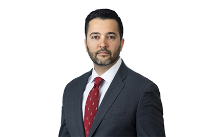 The Crucial Role of a Software Expert Witness in Legal Proceedings ...